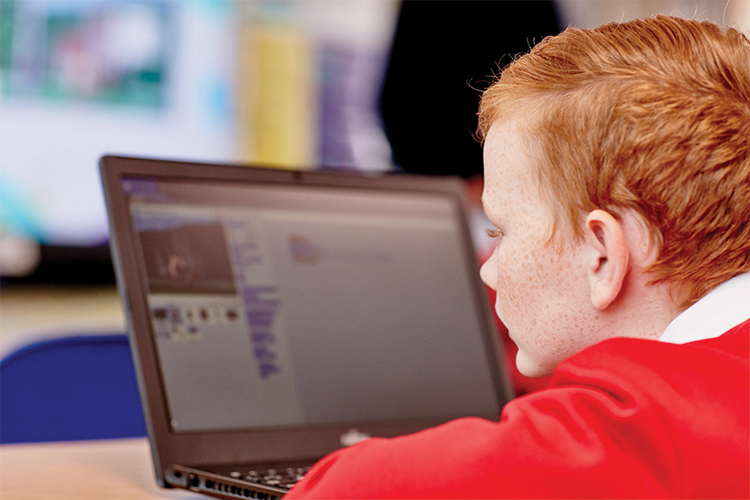 Investigating Inputs Activity | Resources | Barefoot Computing