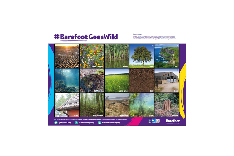 Barefoot Goes Wild Resources Barefoot Computing
